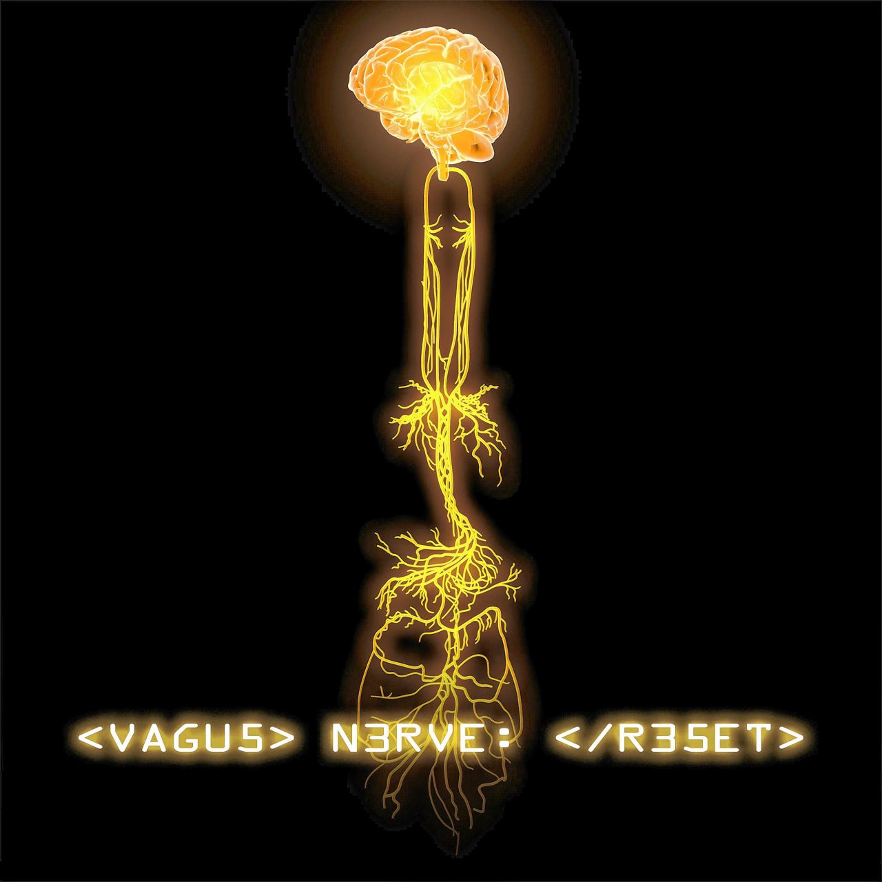Mostly, About a Girl: Tom Sturm's latest release 'Vagus Nerve Reset ...